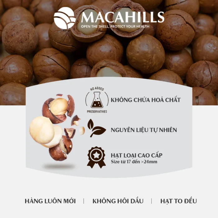 Hạt Macca Vị Ca Cao Đậm Đà Maca Hills Hộp 100gr - Macahills